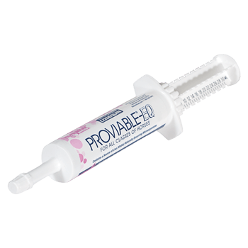 Proviable®-EQ Paste For Horses - Proviable®